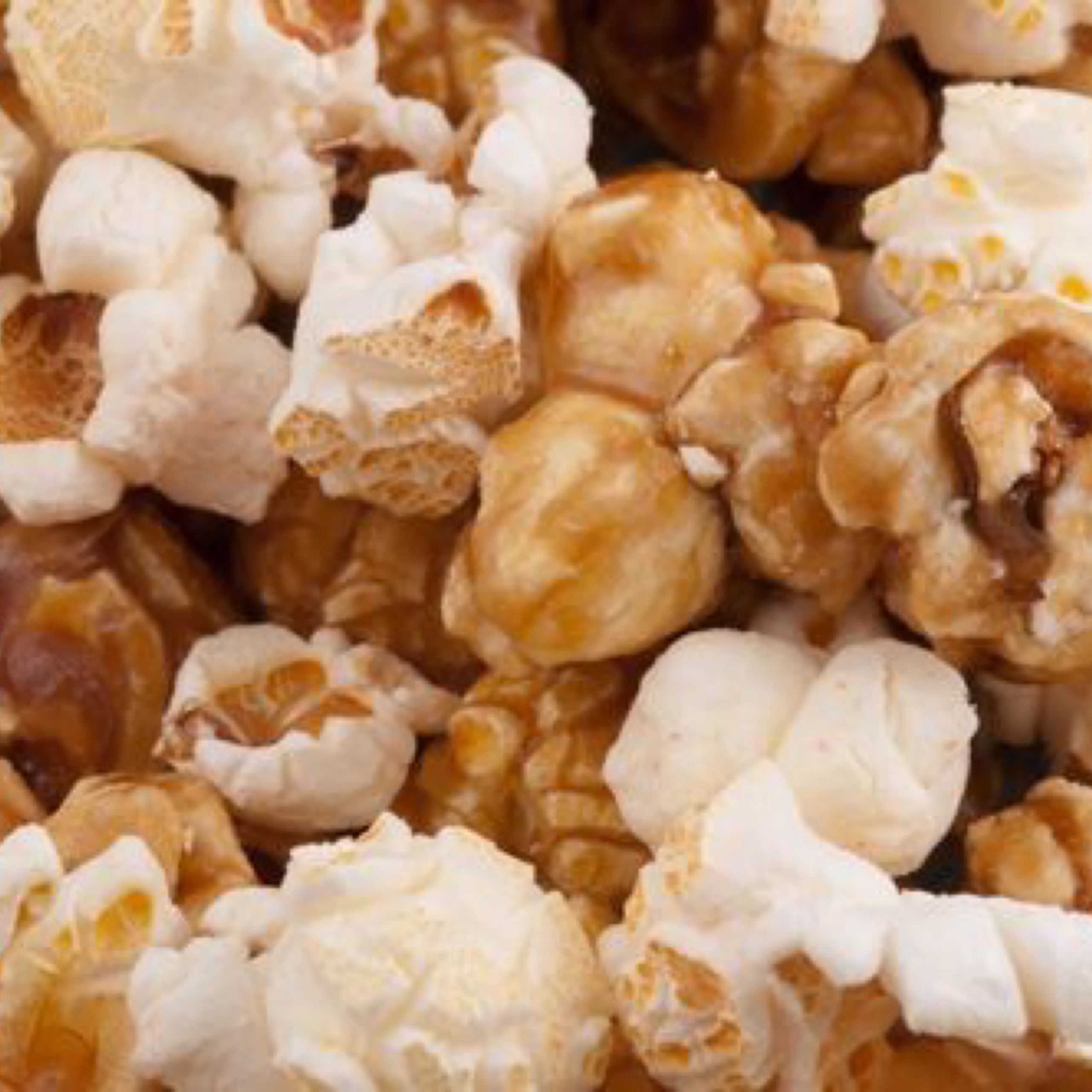 Milkshake SMALL | POParazzi's Popcorn