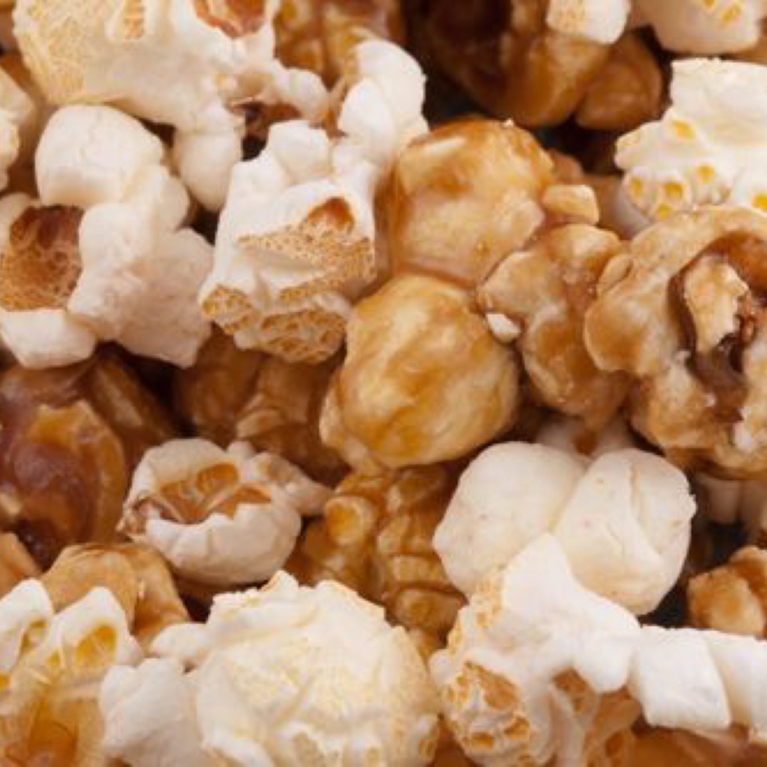 Milkshake REGULAR | POParazzi's Popcorn