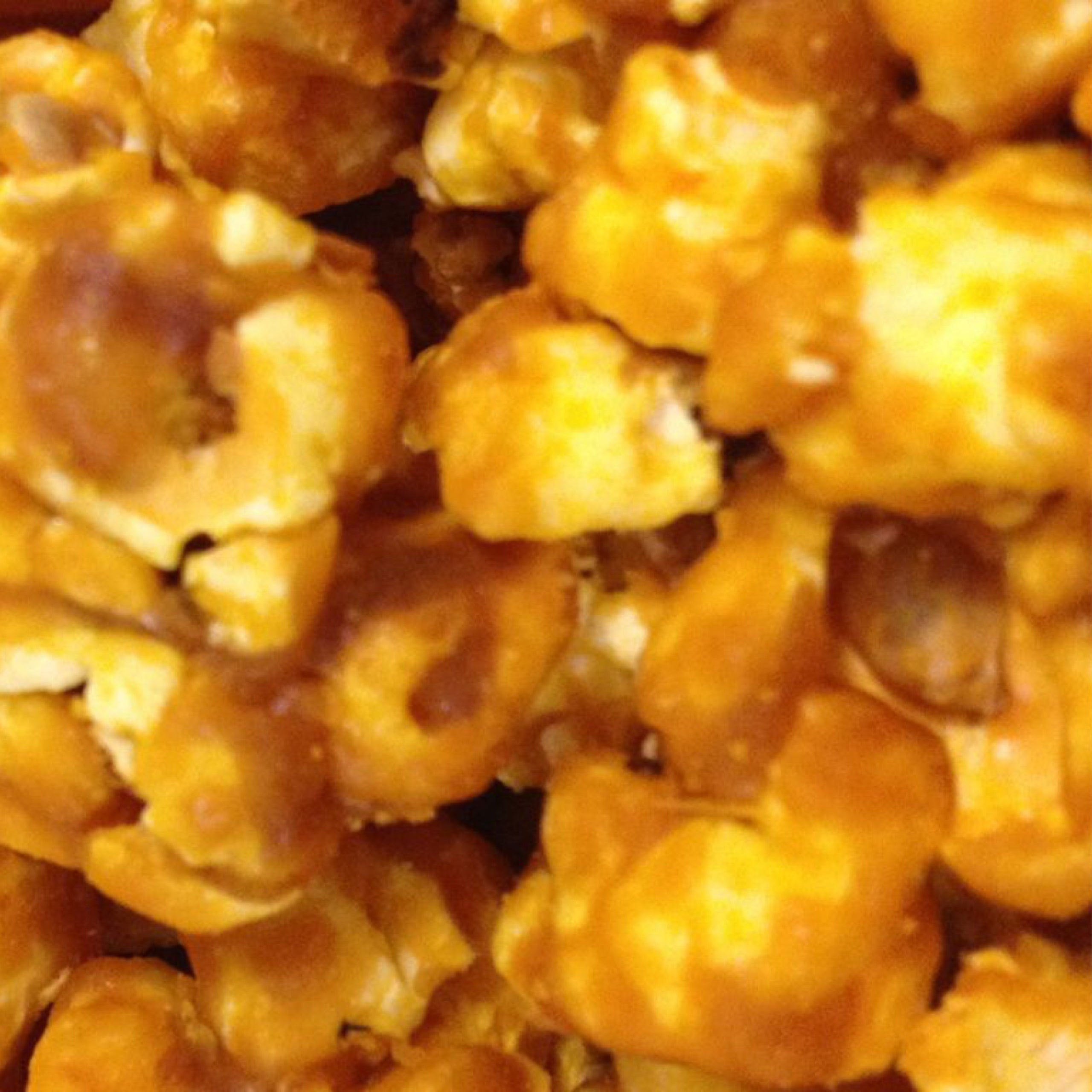 Kiss'nKuzzin's JUNIOR | POParazzi's Popcorn