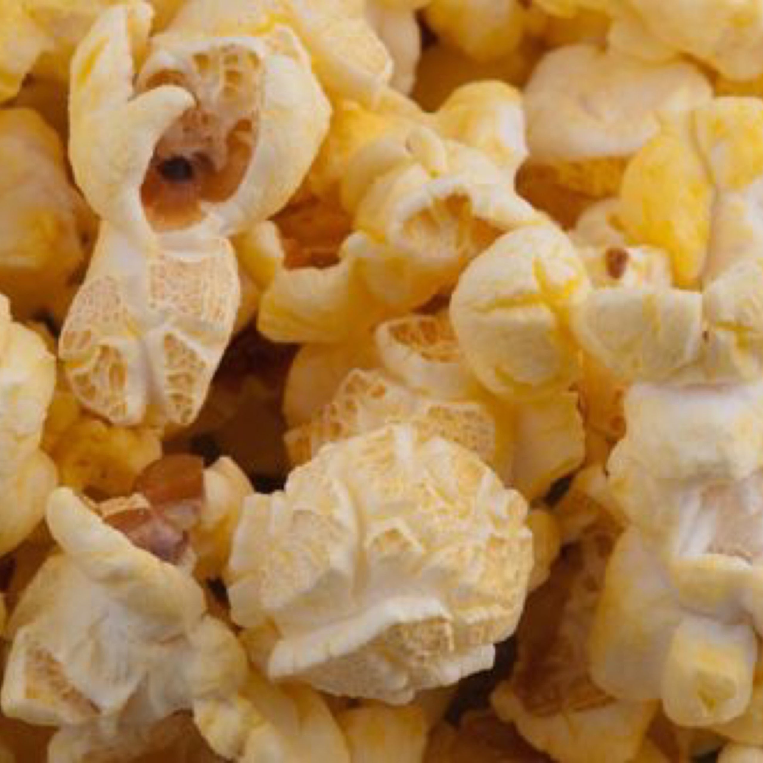 Movie Butter SMALL | POParazzi's Popcorn